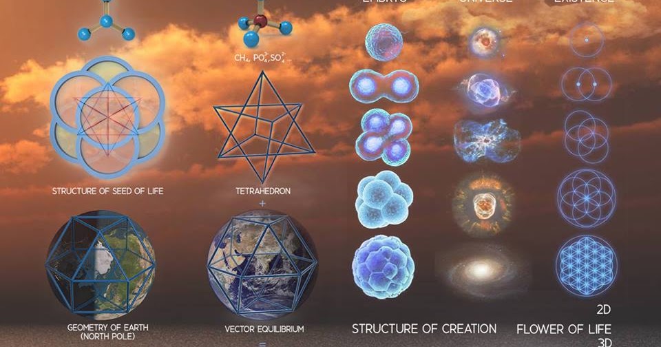 LA CREACION: La Sincronicidad desde el punto de vista científico