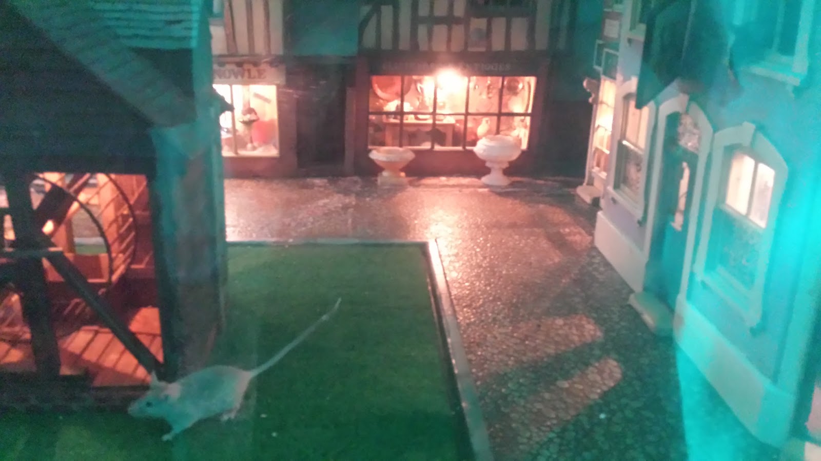 A visit to Mouse Town