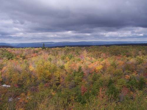 Beneath The Pennsylvania Sky: Forbes State Forest -- Site 6