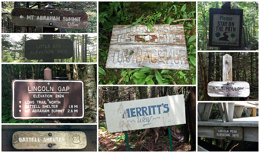 Hiking in the White Mountains: Whitney's NE67 Finish in Vermont