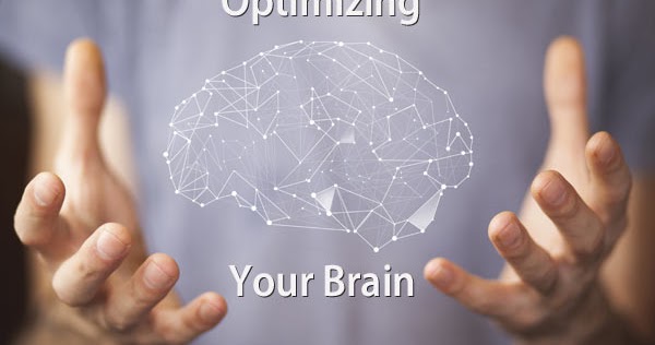 Optimizing Your Brain