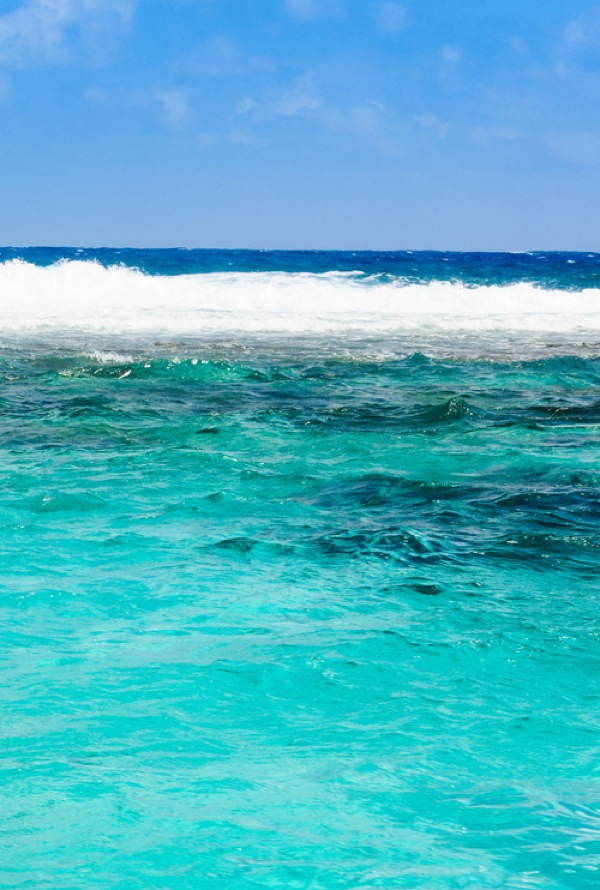 ㅤ: "UM POST PARA AMAR..."