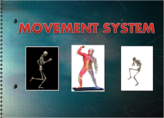movement system.pdf / sistem gerak.pdf | Kreatifa Media