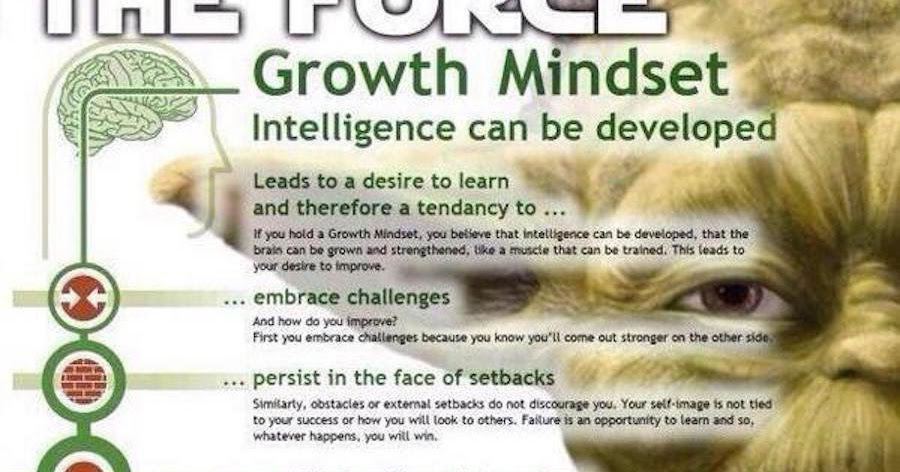 Growth Mindset & Feedback Cats: The Force of a Growth Mindset