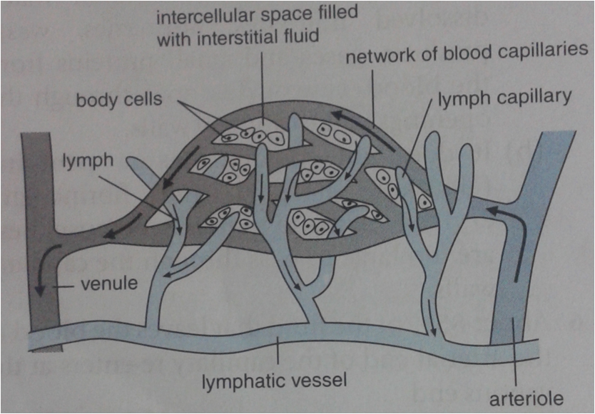 Jom Santai Belajar dengan Cikgu Jaja: January 2017