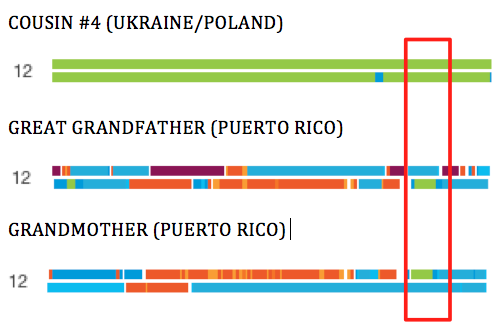 Puerto Rican DNA Crumbs – BoricuaGenes