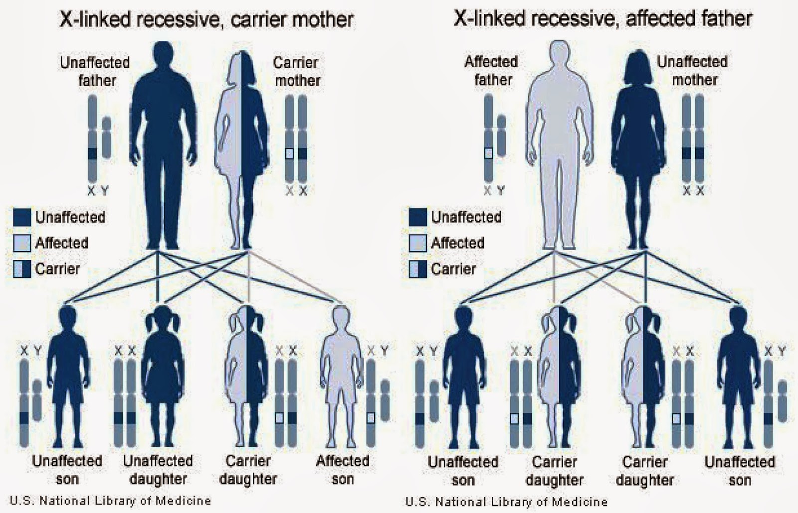 Intro2Res International 2014: Practical Session 3 – Group 3