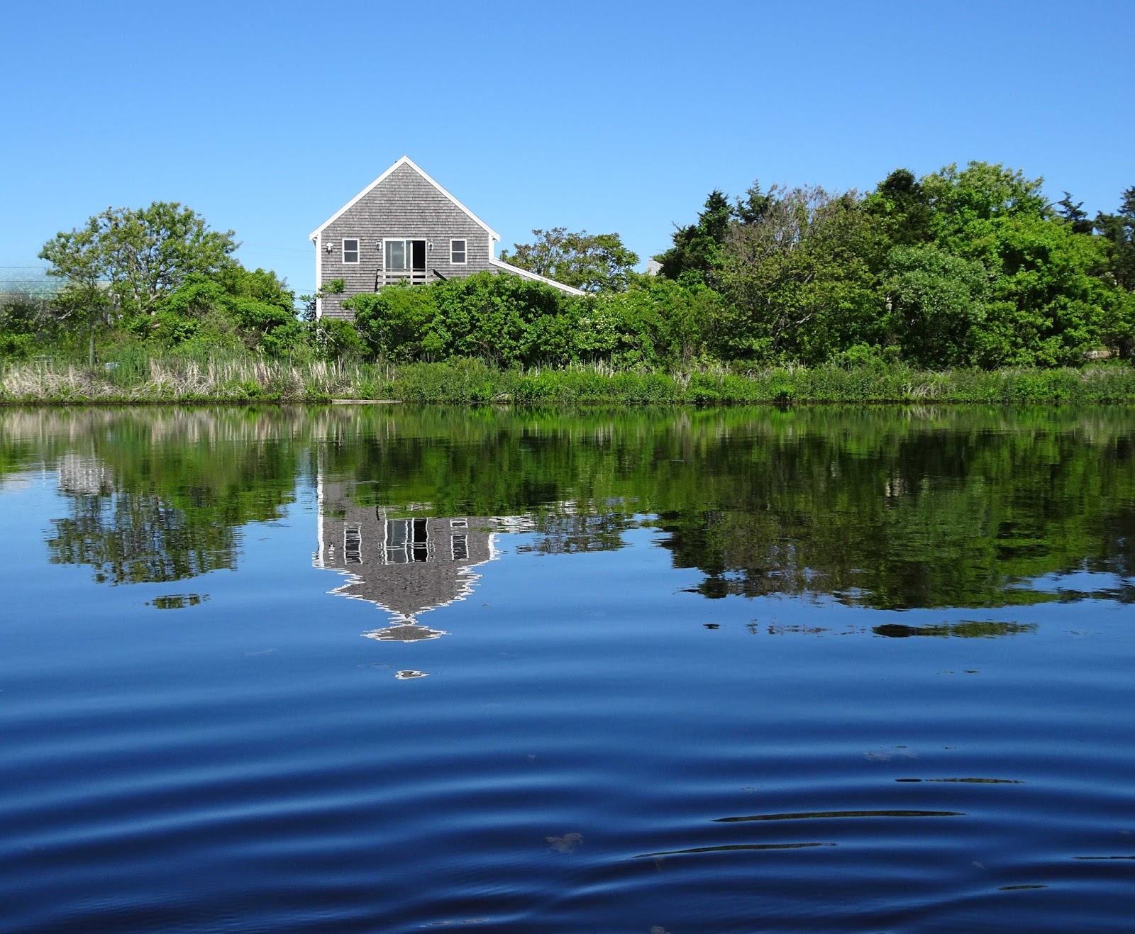 Joe's Retirement Blog: A Paddle-About, Bartlett Pond, Manomet, White ...