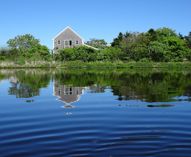 Joe's Retirement Blog: A Paddle-About, Bartlett Pond, Manomet, White ...