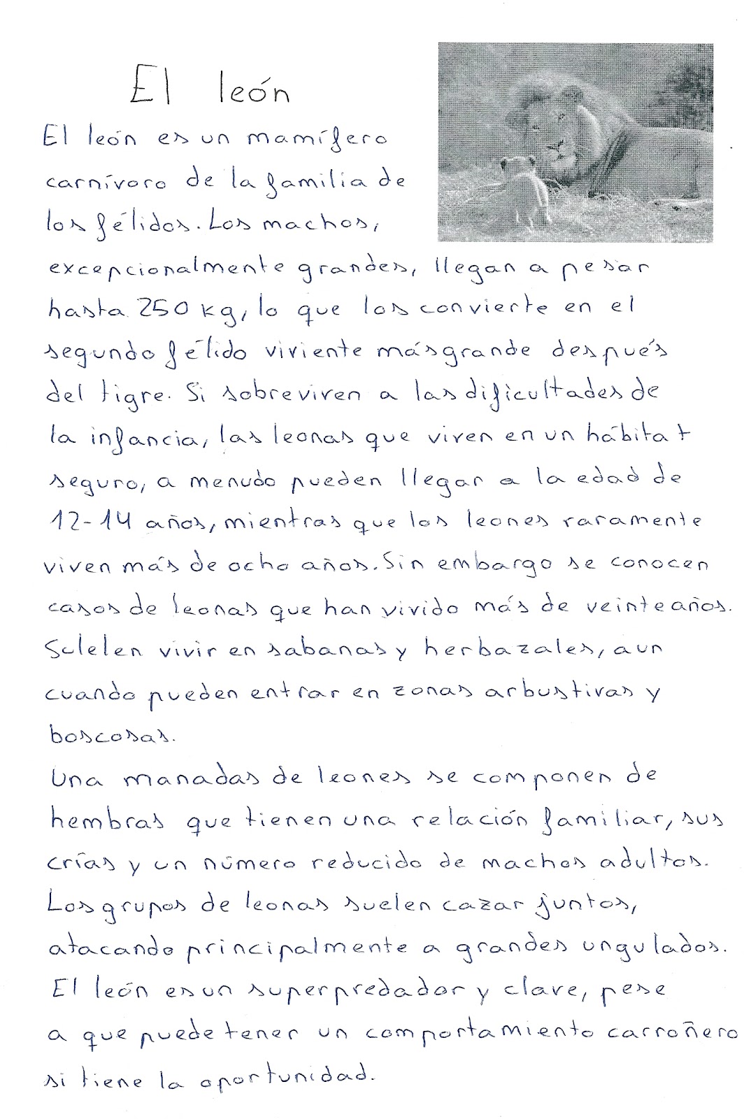 INFORMAMOS SOBRE LOS ANIMALES – CPR Negratín