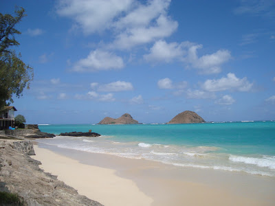 Aloha On My Mind: Jane Austen visits Bellows Recreation Center and ...