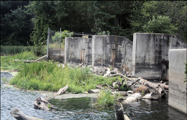 Shiawassee River - (Can't find it ? scroll down ): Log Jam at Shiatown Dam