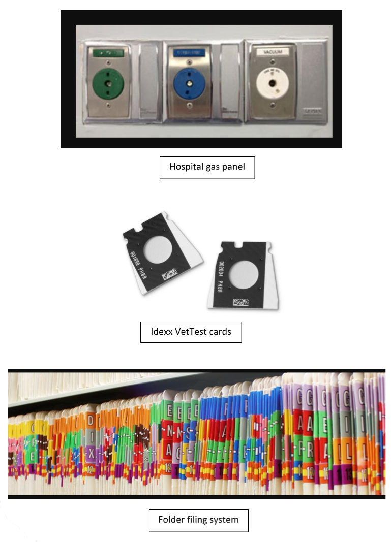 LeanVets: Error Proofing vs Fool Proofing