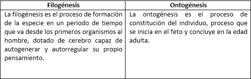 Psicología del Aprendizaje Motor : Taller de Filogénesis y ontogénesis