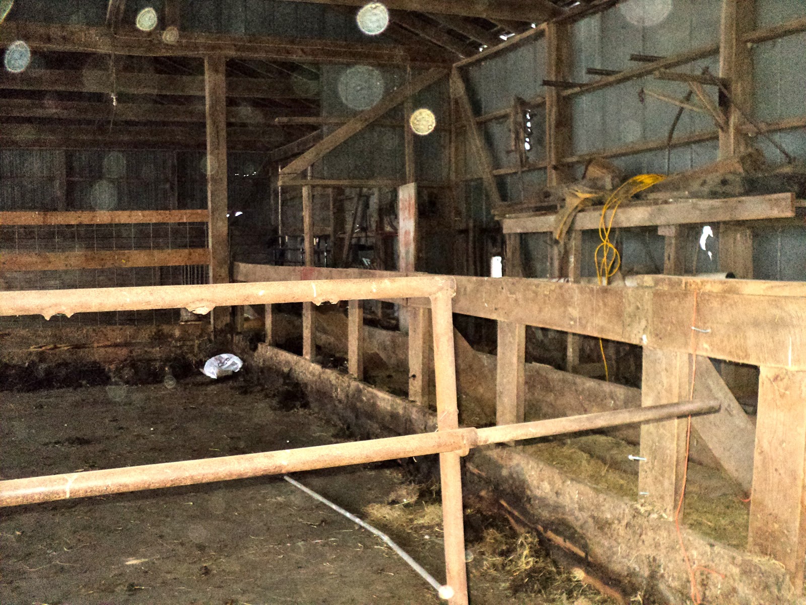 Making the Winter Cow Barn Comfy | Gita Nagari Yoga Farm