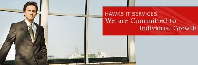 Hawks It Services Pvt. Ltd.