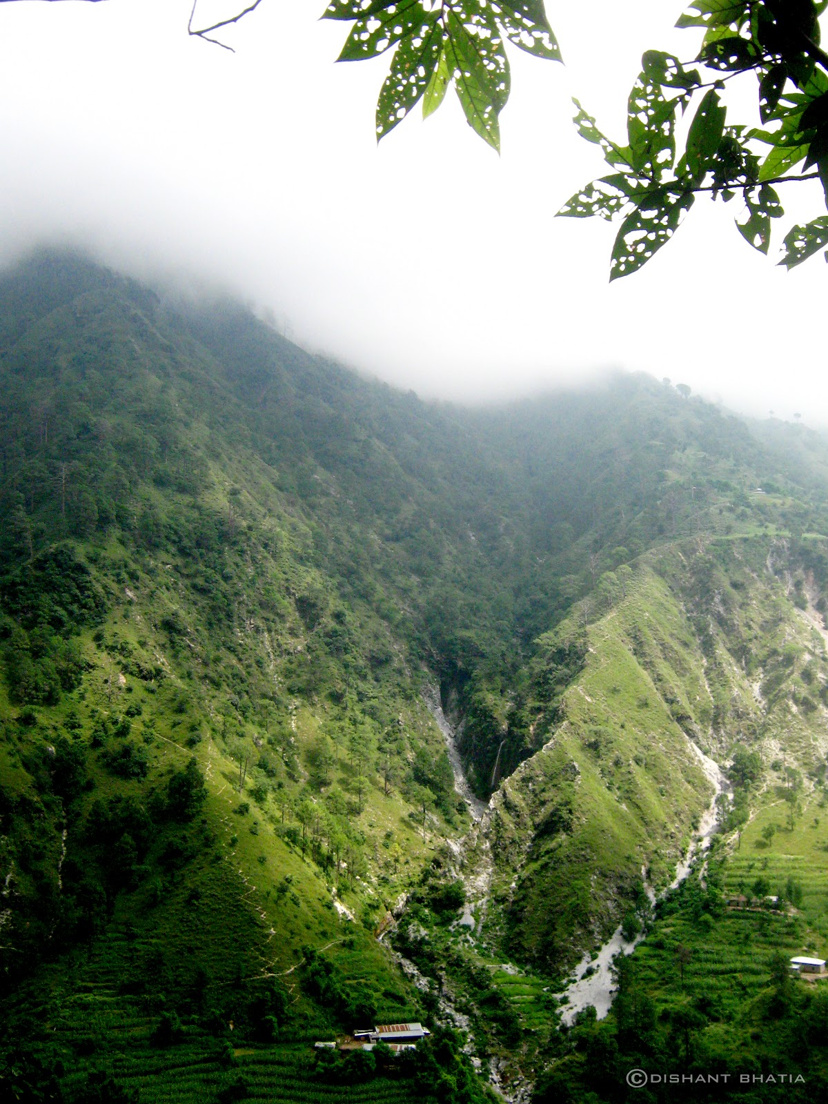 Panwadi Tales: Trek to Devi Pindi - A Photoblog