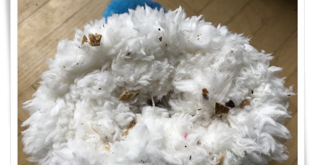 [Hundeblog] Einfach Socke: Endlich wieder ein Puschi….