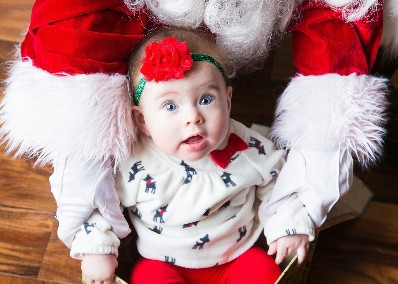 Sarah Eggett: fotofly santa