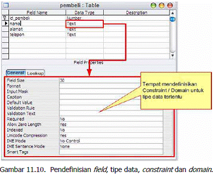 Pendefinisian Field dan Tipe Data | Citra teknologi