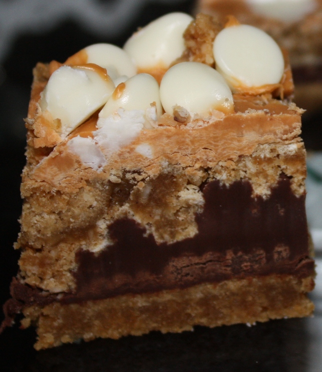 Gourmet Mom on-the-Go: Sedimentary Rock Bars