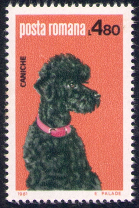 Timbre filatelice: Timbre cu animale-Expozitia Nationala Canina