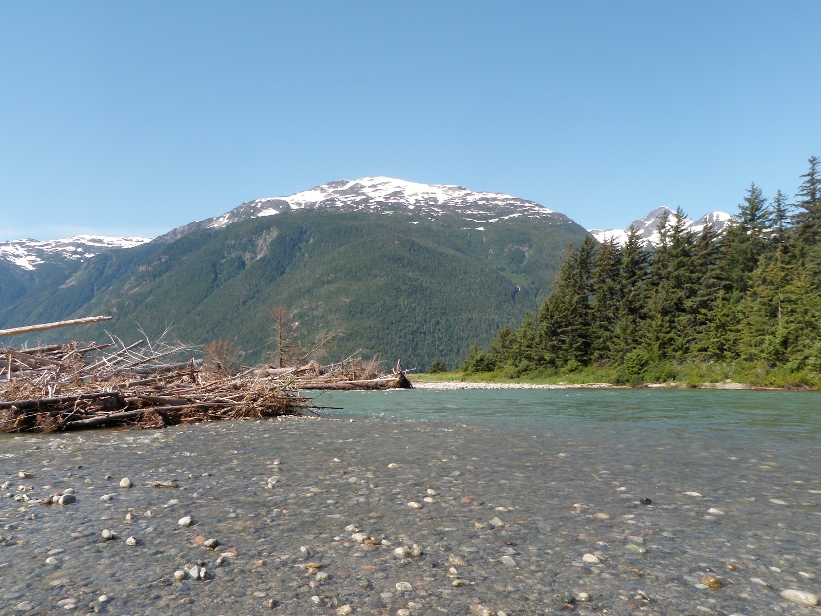 DESCHUTES ANGLER: DEAN RIVER, BRITISH COLUMBIA 2012
