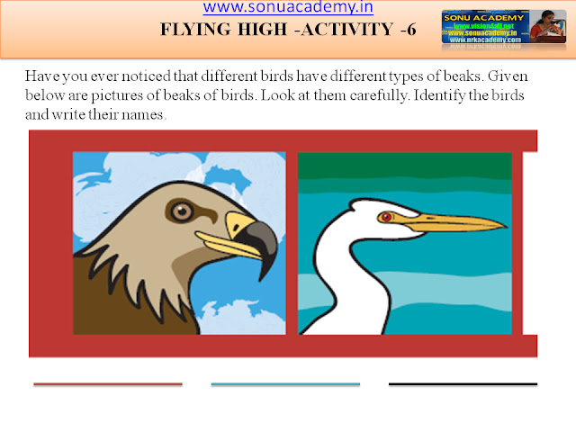SONU ACADEMY: FLYING HIGH - ACTIVITY