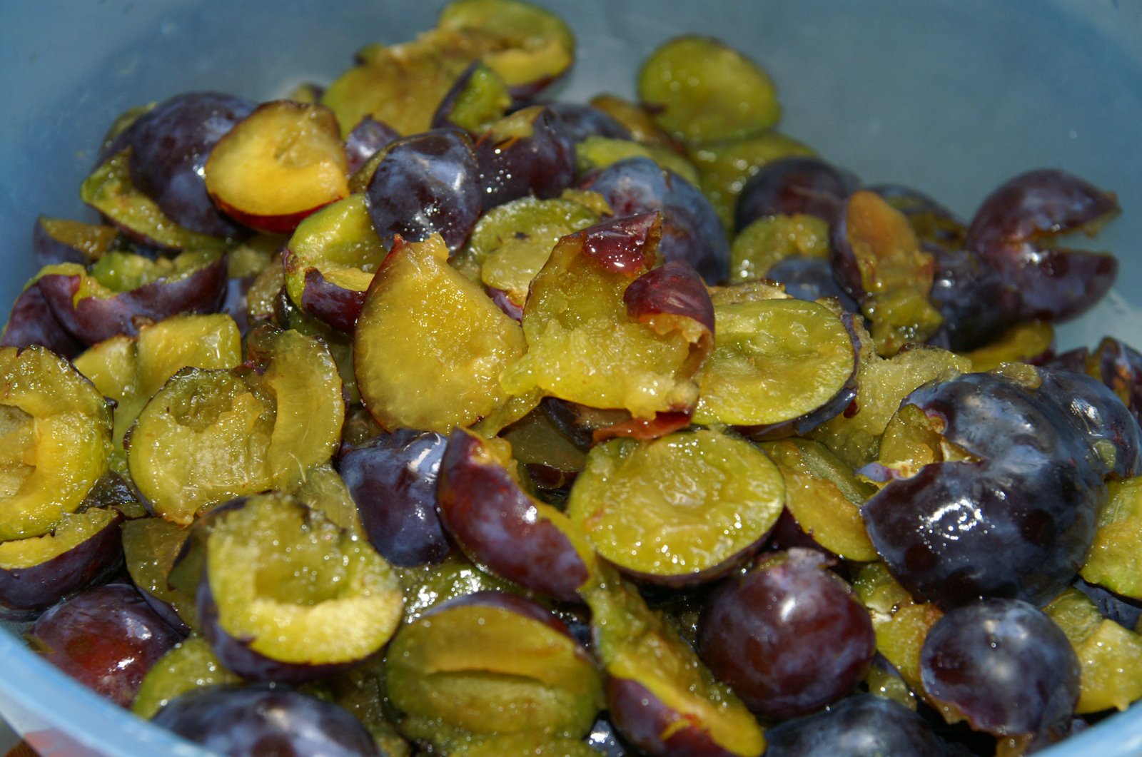 JACKLINEBZH: prunes séchées