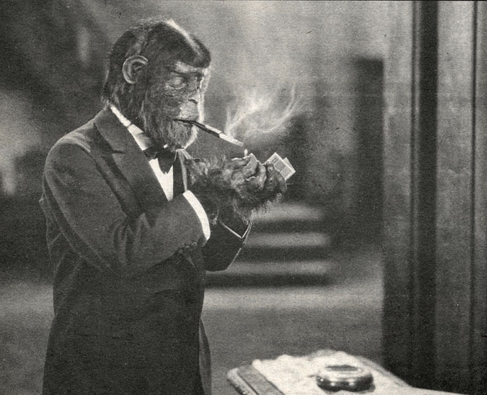 Movies..: The Monkey Talks