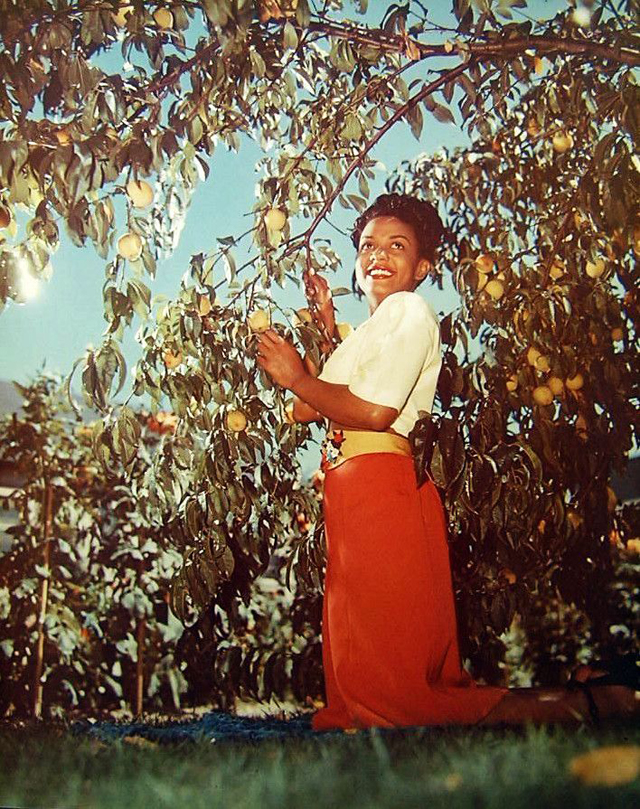 Hazel Scott: The Piano Prodigy Was the First Woman of Color to Have Her ...