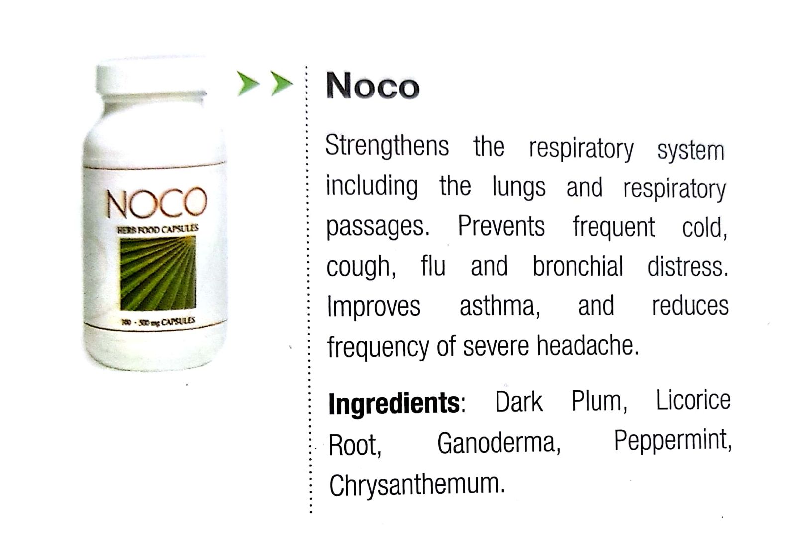 Raine ~ Wholistic Lifestyle: Fine Tune your 9 Main Body System with DNP ...