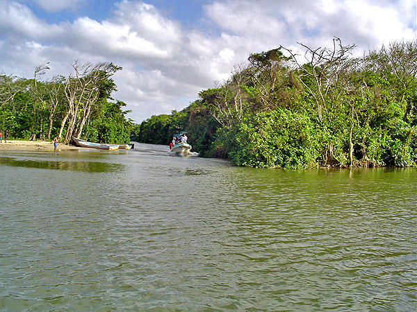 Reserva de la Biosfera de Río Plátano: Reserva de la Biosfera Del Río ...