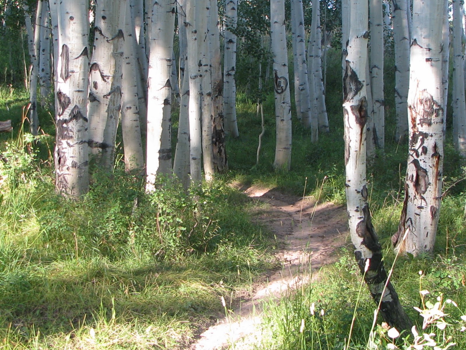 gjhikes.com: Turkey Flats