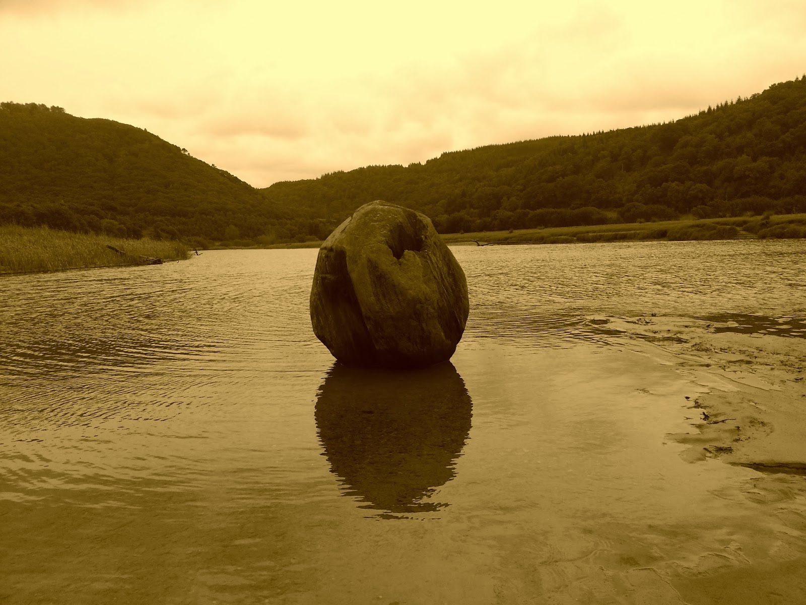 YG Arfordir Cymru - NT Welsh Coast: November 2013