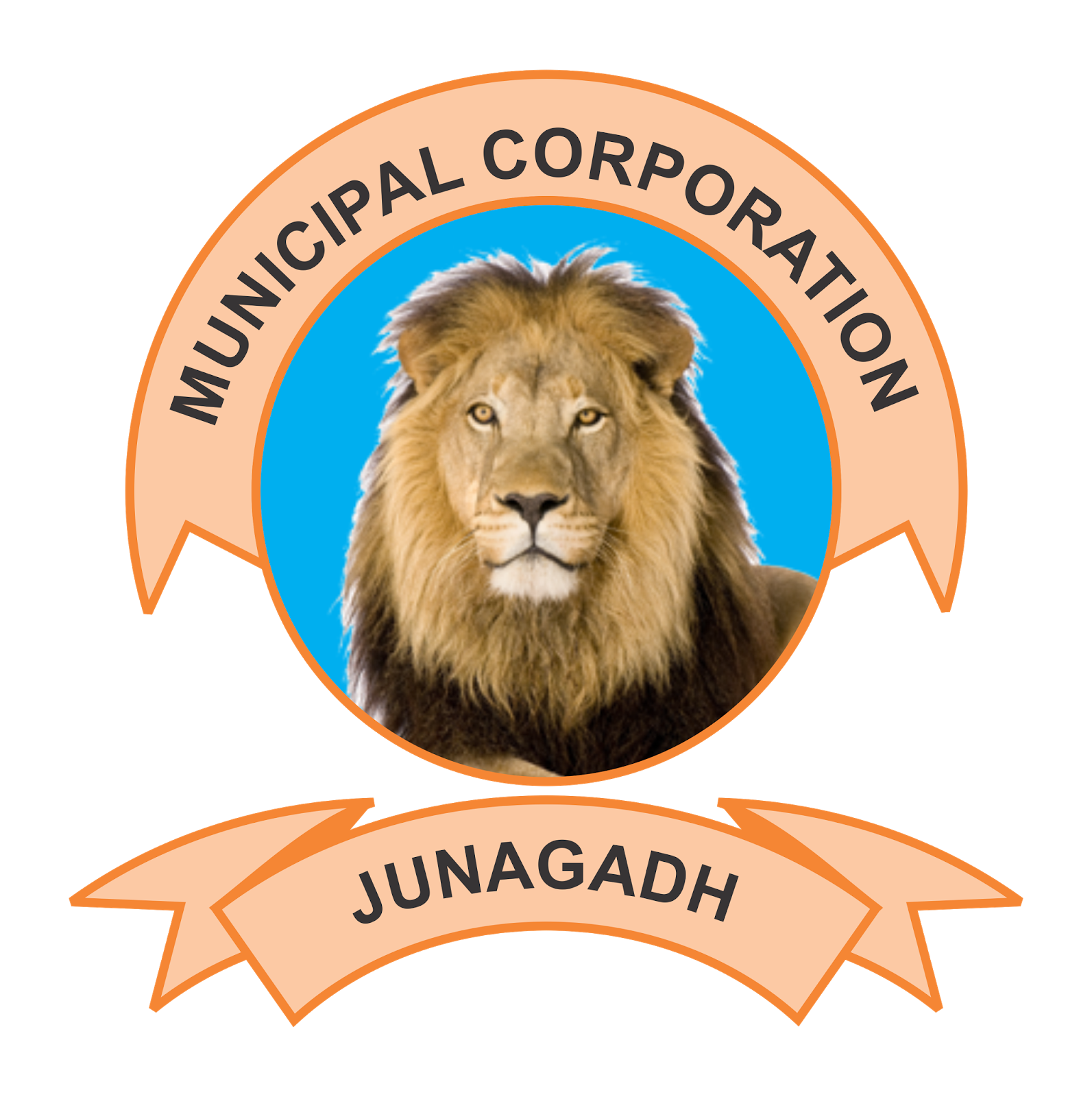 Junagadh Municipal Corporation Recruitment For 06 Various Posts 2017 junagadh-municipal-corporation-recruitment-for-06-various-posts-2017
