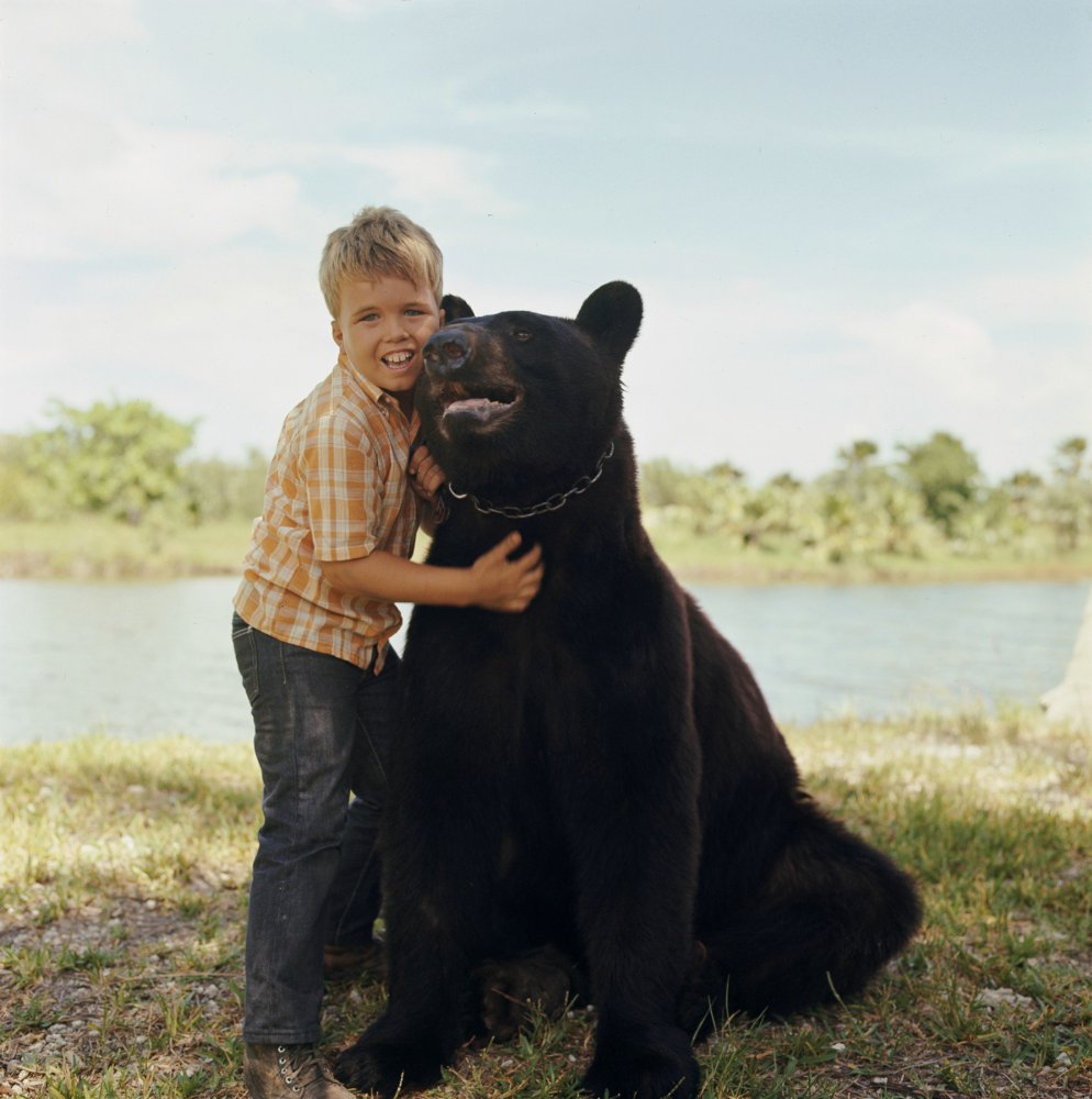 John Kenneth Muir's Reflections on Cult Movies and Classic TV: Cult-TV ...