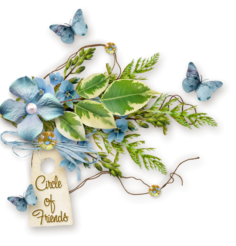 ForgetMeNot: Cluster spring frames