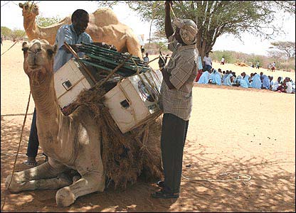 CEREBRAL BOINKFEST: 6/19/11 - 6/26/11