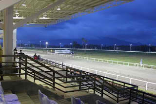 "THE MOST' , "THE BEST".. many more: Metro turf Host May 9, 2013 ...