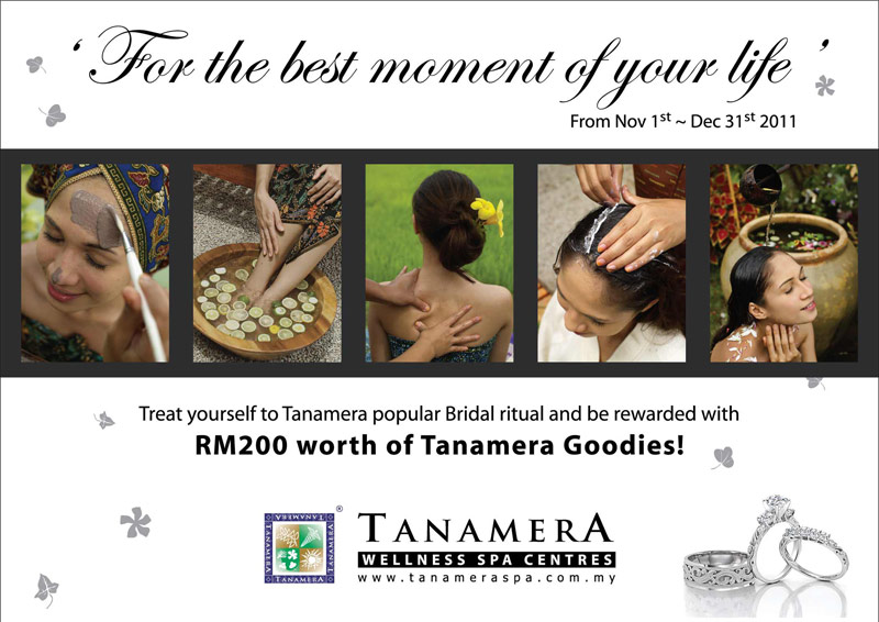 Tanamera and You | What do you want to see in Tanamera?