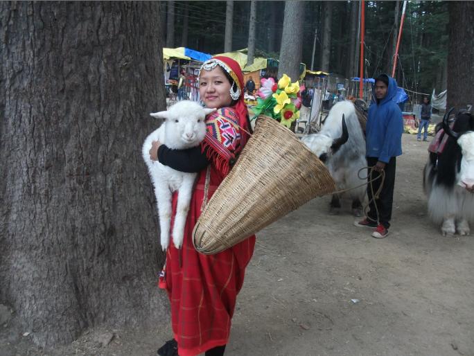 Almost Unreal: The Manali Holiday