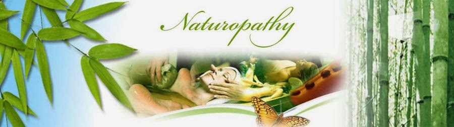 Mom's Thumb Reviews: Indian Naturopathy Healthy Recipes