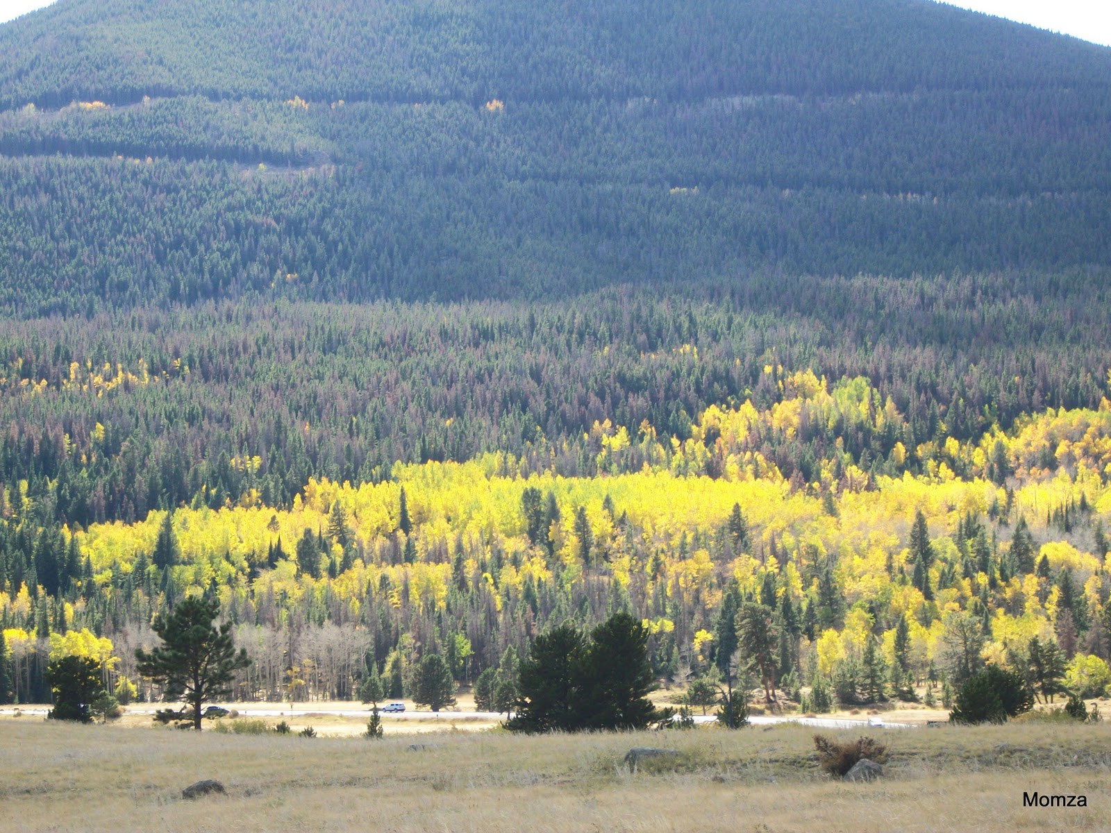 MOMZA'S HOUSE: October at Rocky Mountain National Park