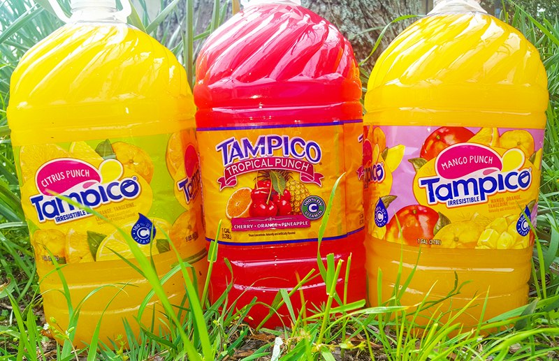 Upcycle with Tampico for Spring Fun | Wrapped Up N U