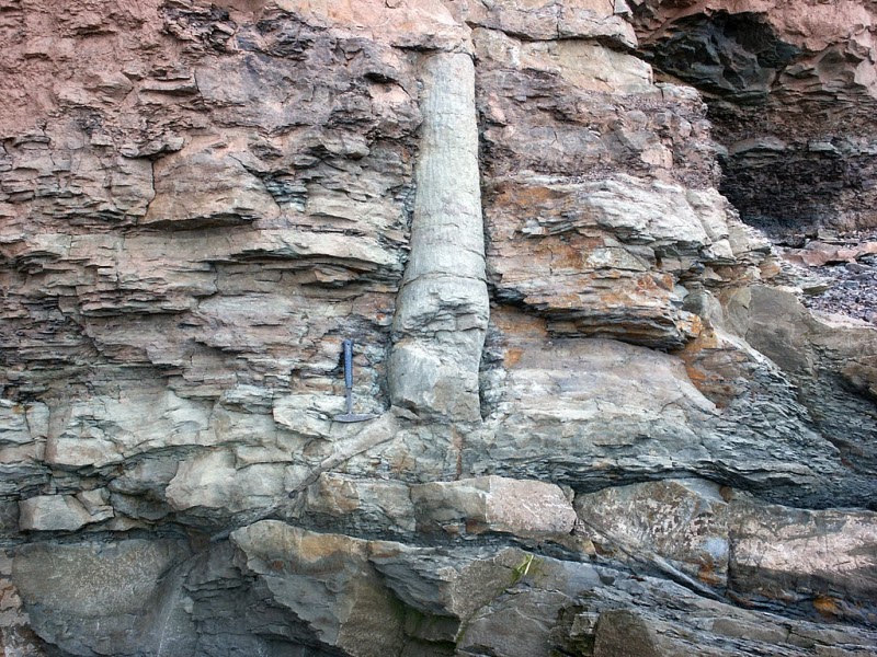 History of the Earth: July 10. Joggins Formation, Nova Scotia