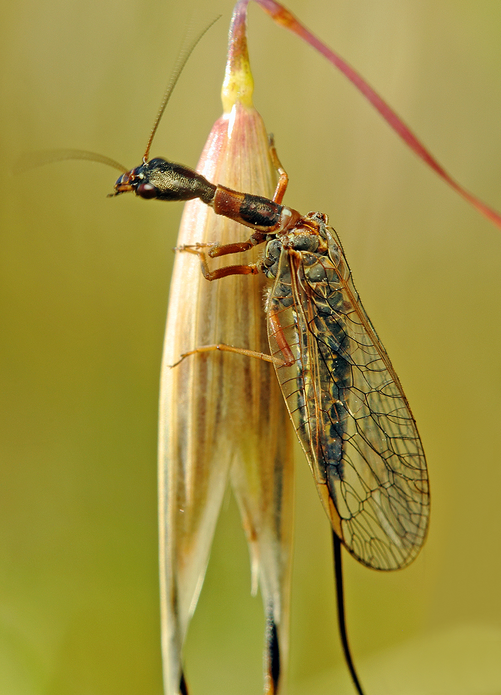 JJ's Photographic nature blog