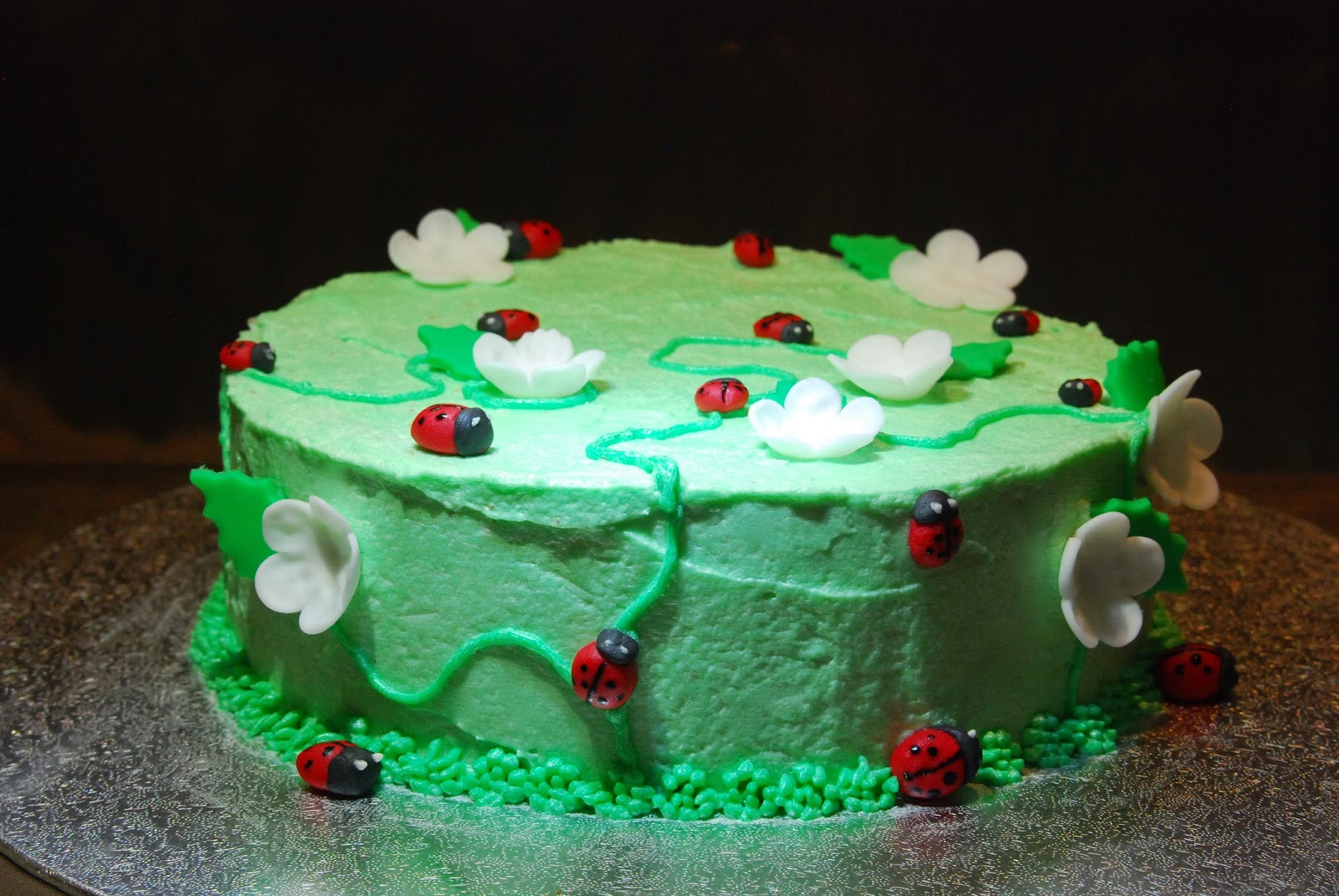 Cutchi-Cakes: Ladybird Cake