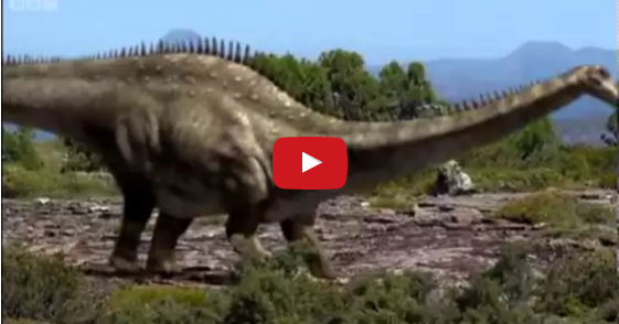 Dinosaur mating rituals - Walking with Dinosaurs in HQ - BBC - Amazing