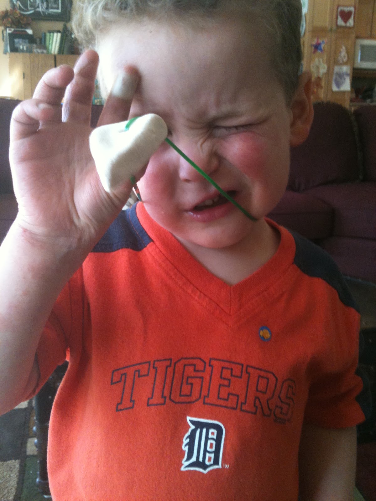 "Pointy teeth=carnivores" I couldn't say it better myself ...